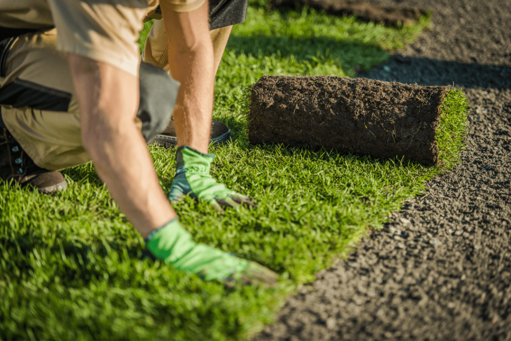 Quick and Simple Ways to Care for Your Landscape Installation ...
