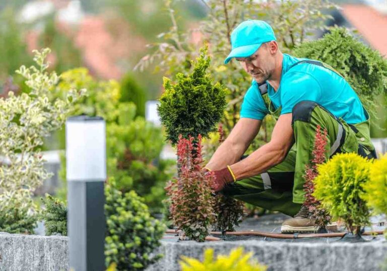 Hiring a Landscaper – Landscape Improvements