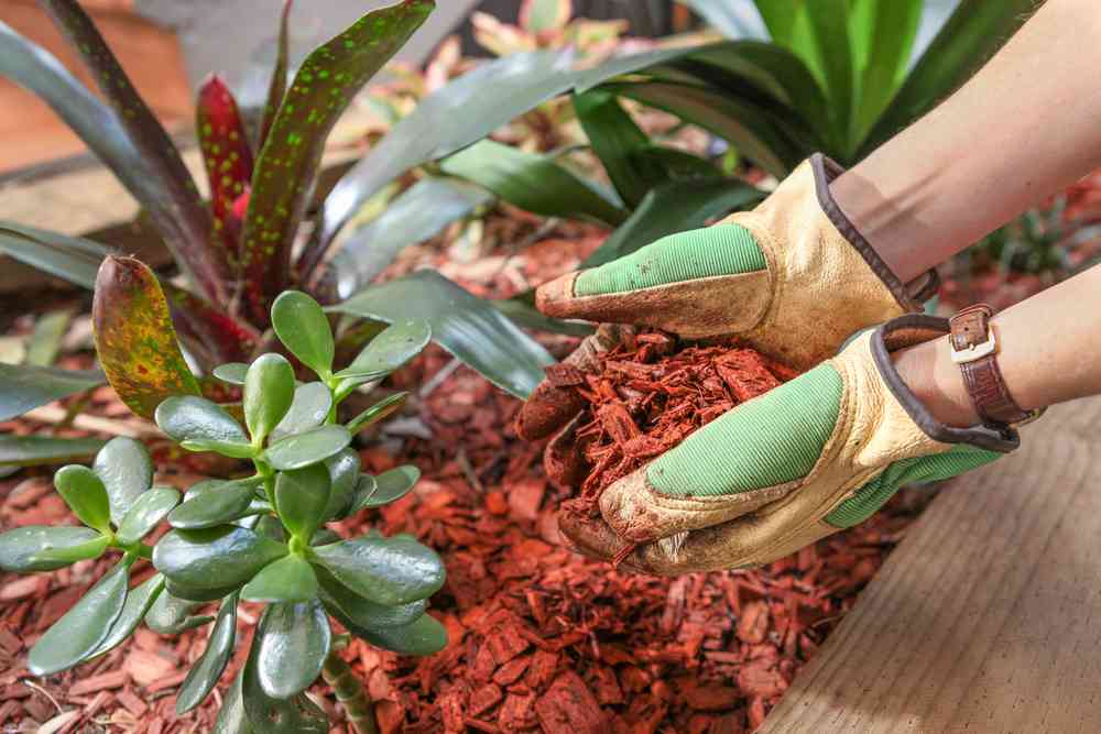 Mulch Redressing – Landscape Improvements
